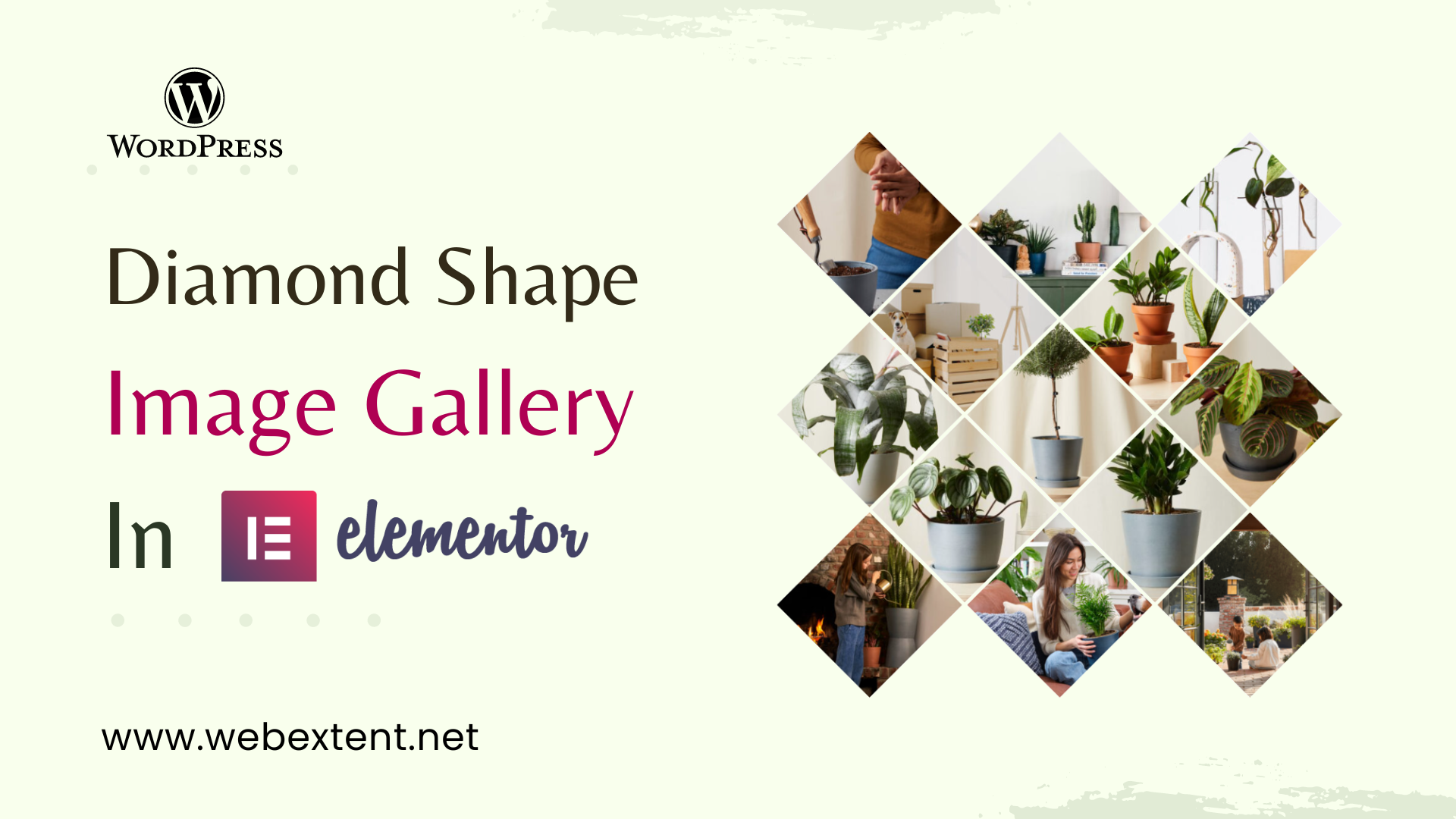 Awesome Image Gallery in Elementor in a Diamond Shape